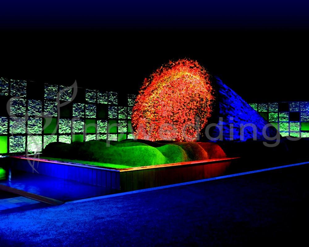 Daniel ost - World’s Foremost Floral Designer and Sculptor - FNP Weddings